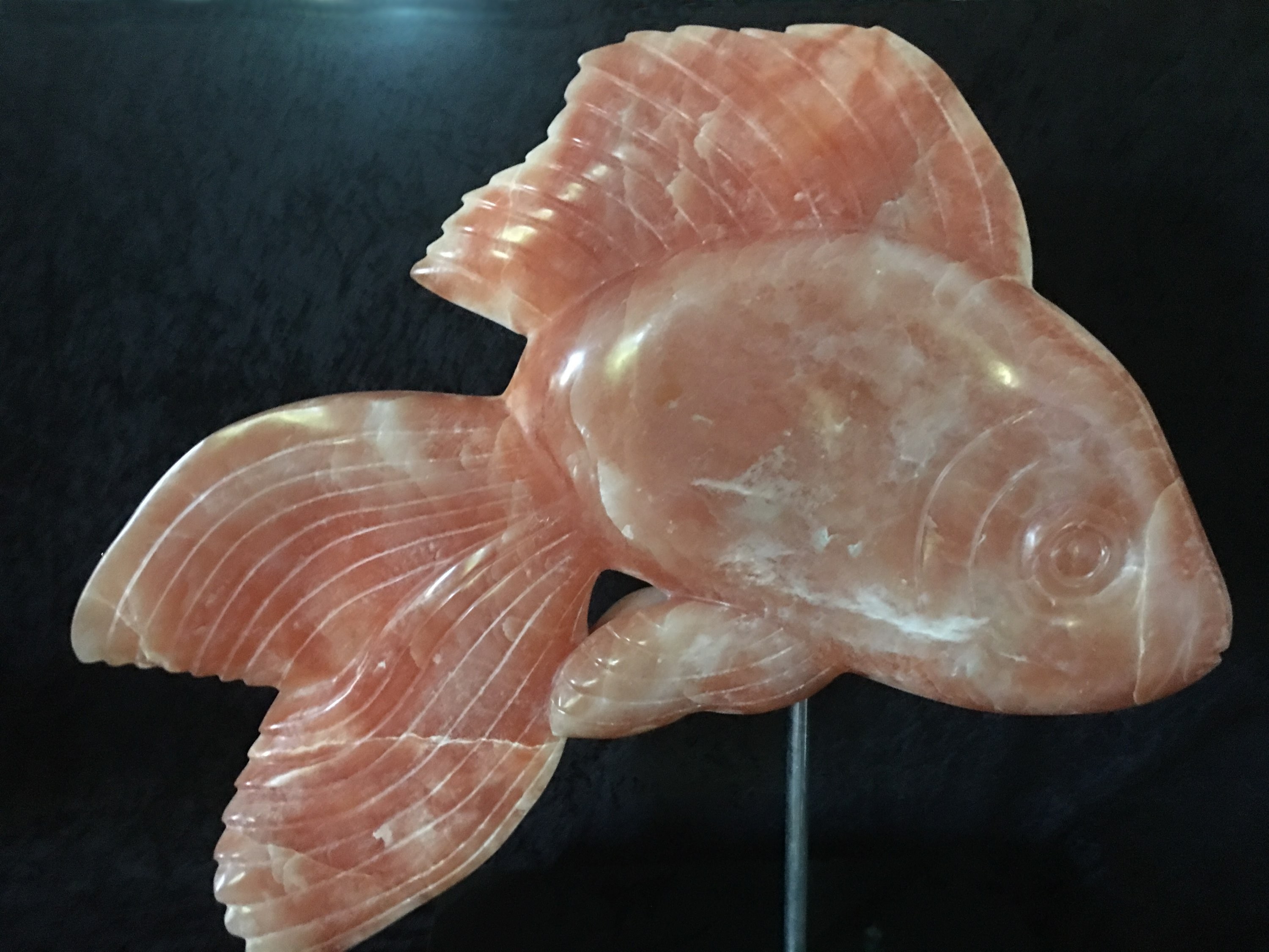 Big Orange Fish – Suzanne Posner Art